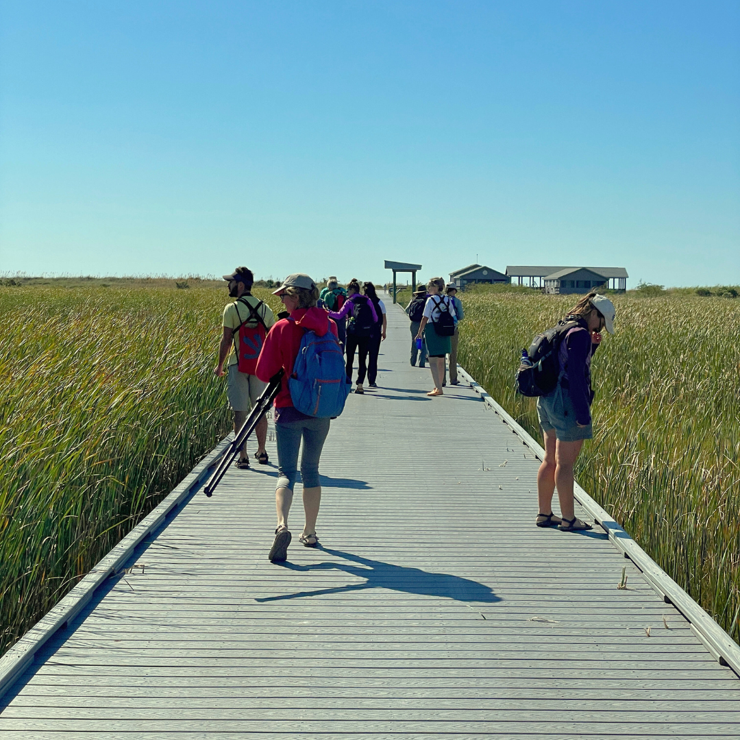 CCR Lab – Coastal and Marine Extension Program