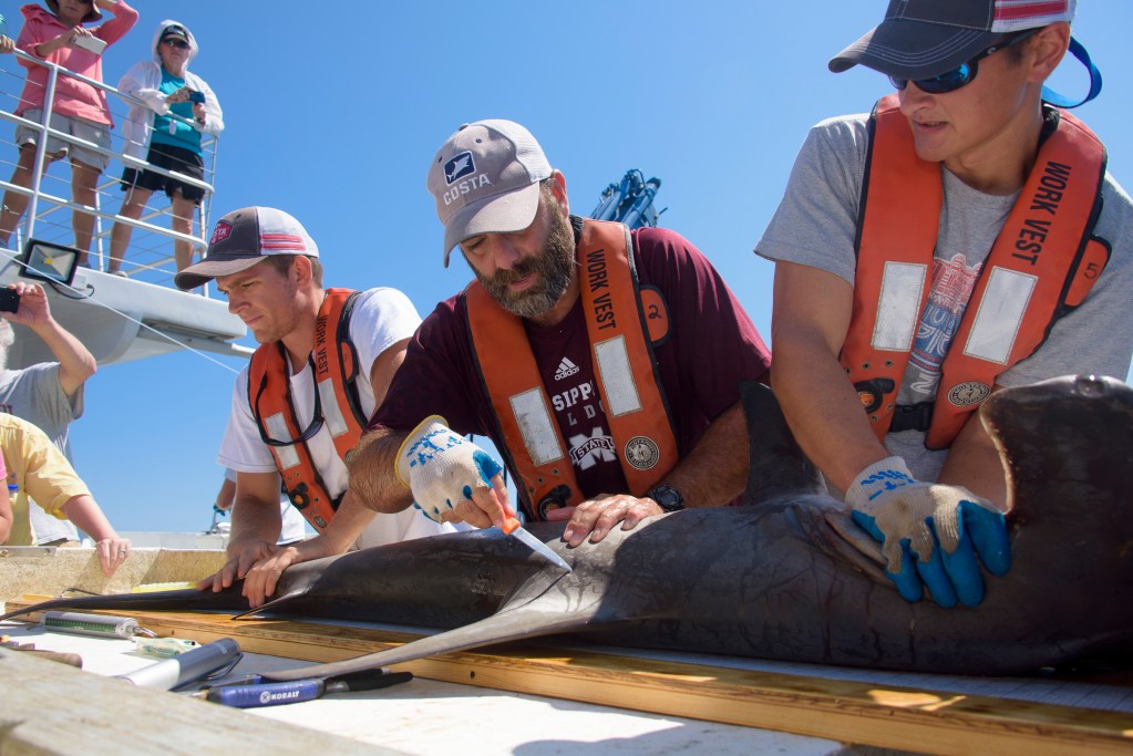 MFE Past Work – Coastal and Marine Extension Program